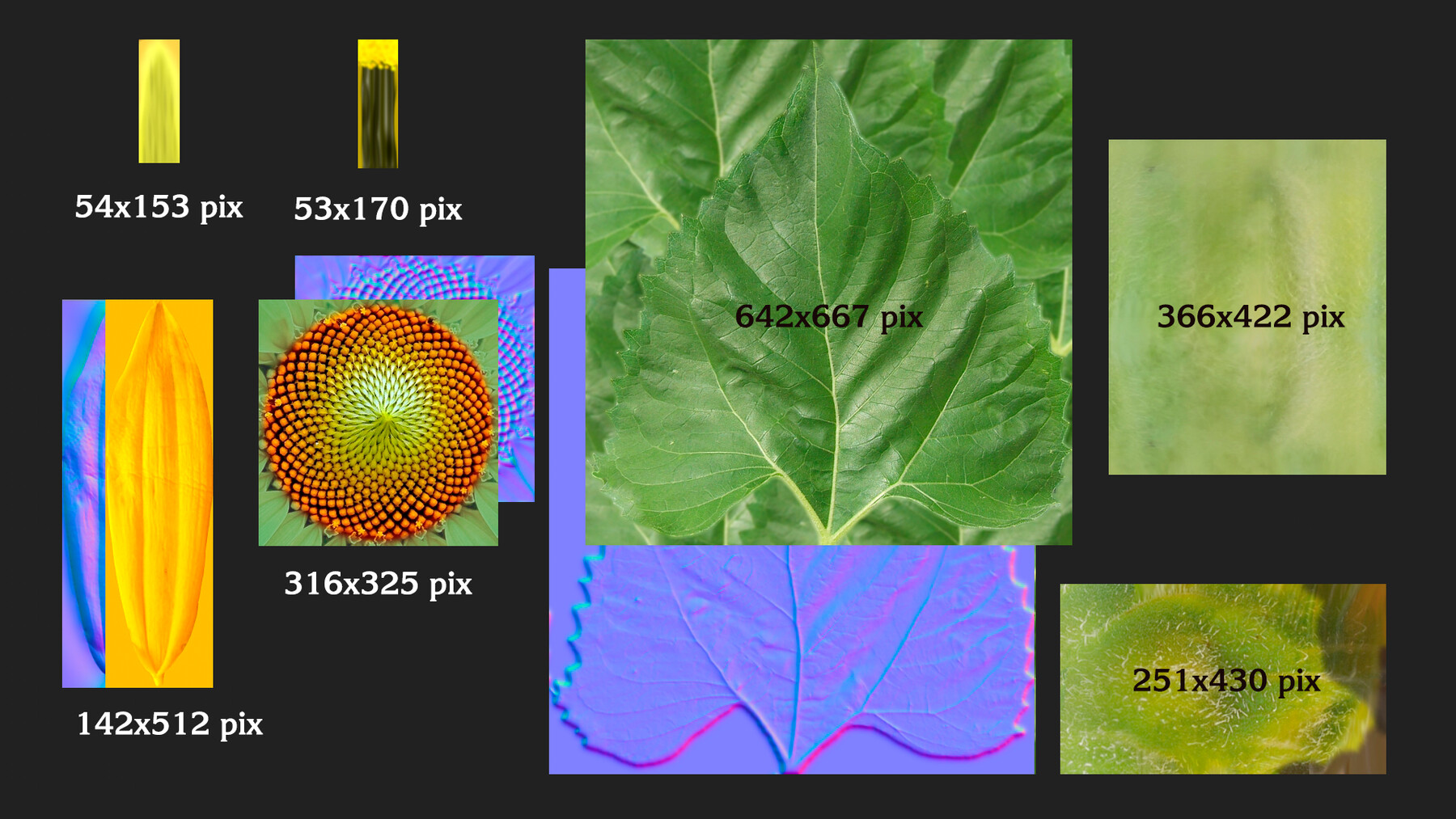 ArtStation - Three sunflowers | Resources