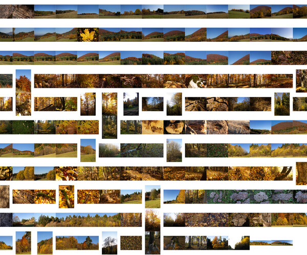 ArtStation - Colors of Autumn Photopack | Resources