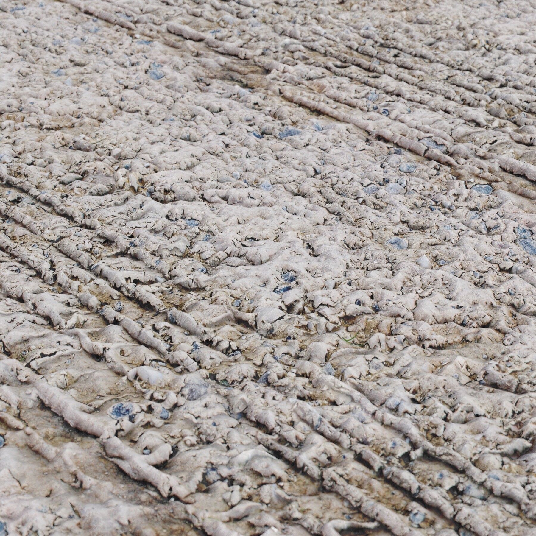 ArtStation - Mud Tracks 1 PBR Material | Game Assets