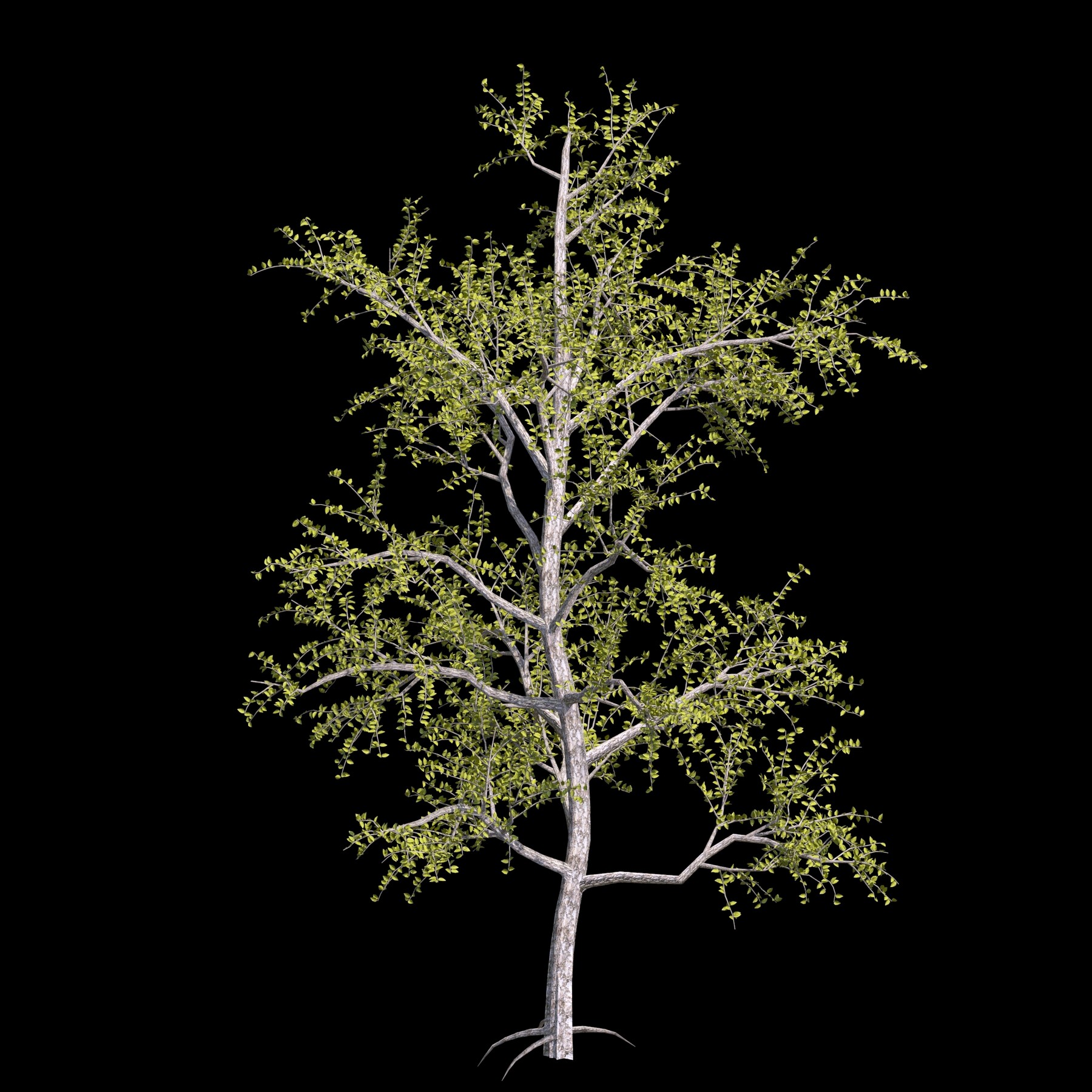 ArtStation - Pack of 5 trees separate model | Game Assets