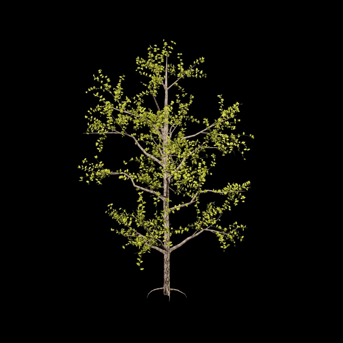 ArtStation - Pack of 5 trees separate model | Game Assets