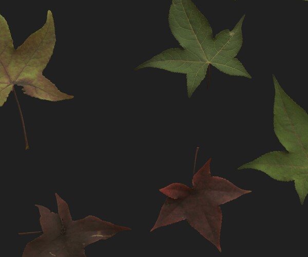 ArtStation - Sweetgum Tree Leaves | Resources