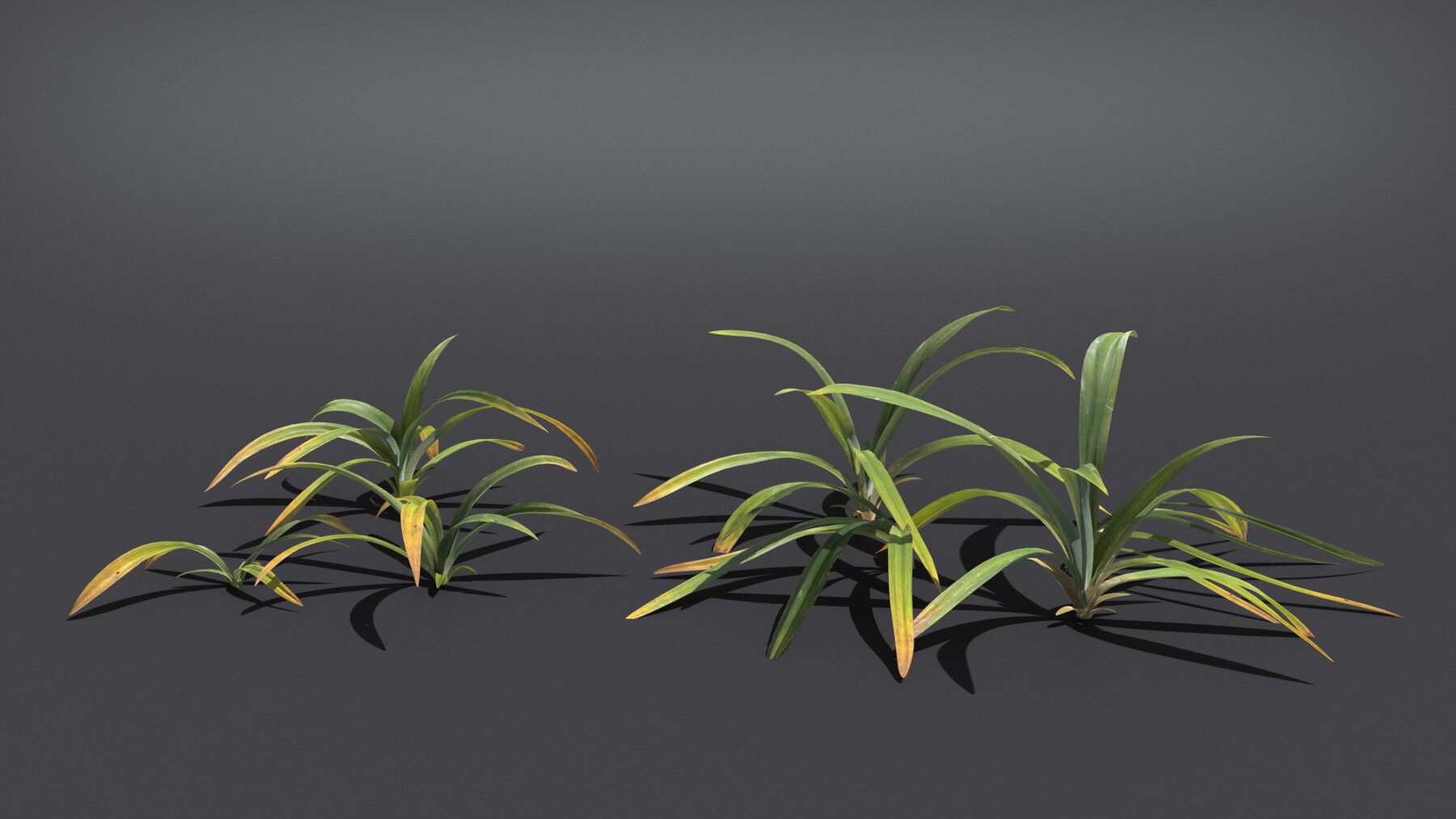 ArtStation - Wild Grass | VFX Grace | Game Assets