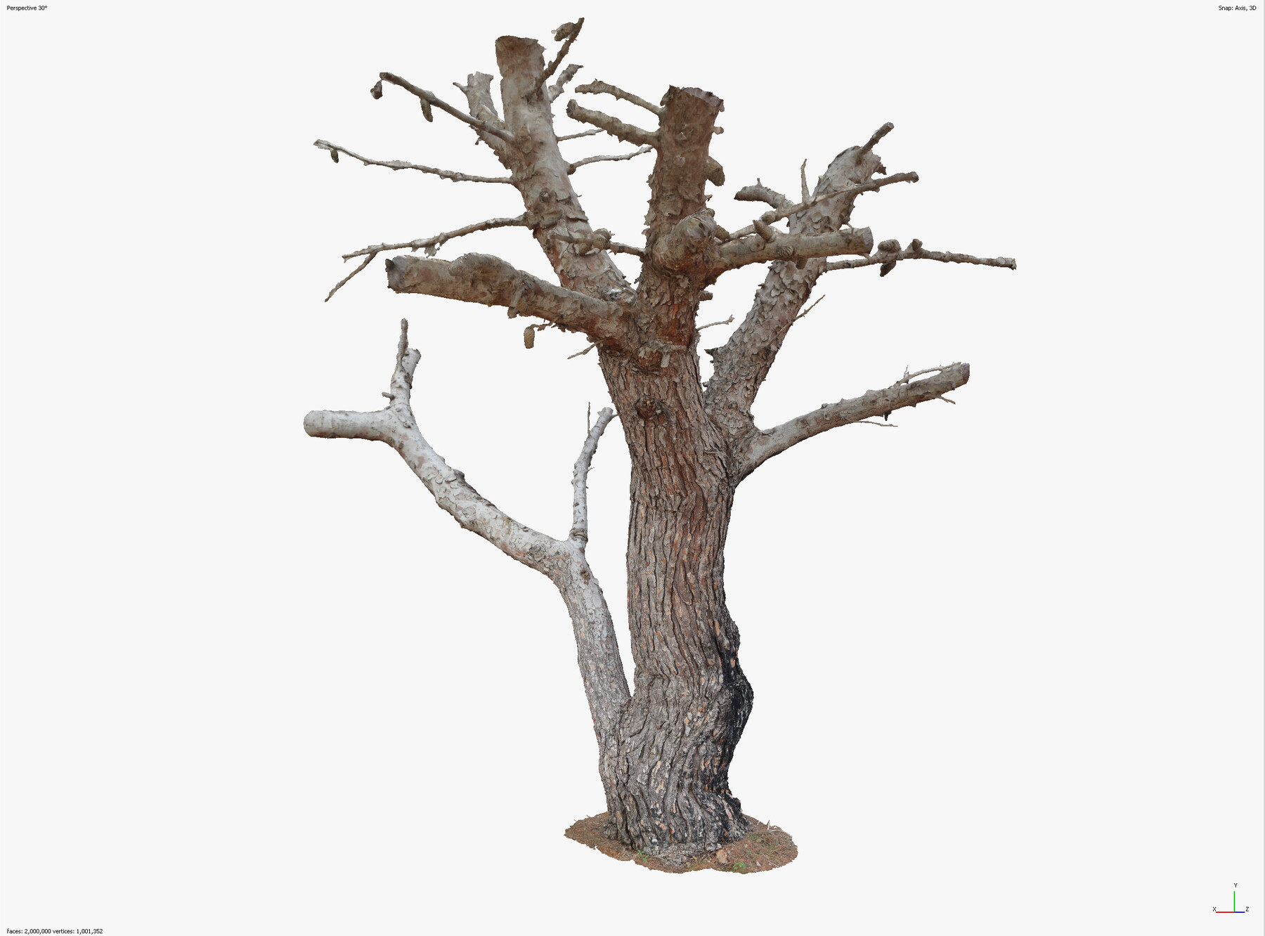 ArtStation - Burnt Pine RAW Tree 3D scan 2 x 16k Textures ULTRA-HD OBJ ...