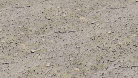 ArtStation - Yellow Morass 2 PBR Material | Game Assets