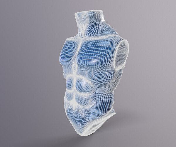 ArtStation - Male Torso Base Mesh | Resources