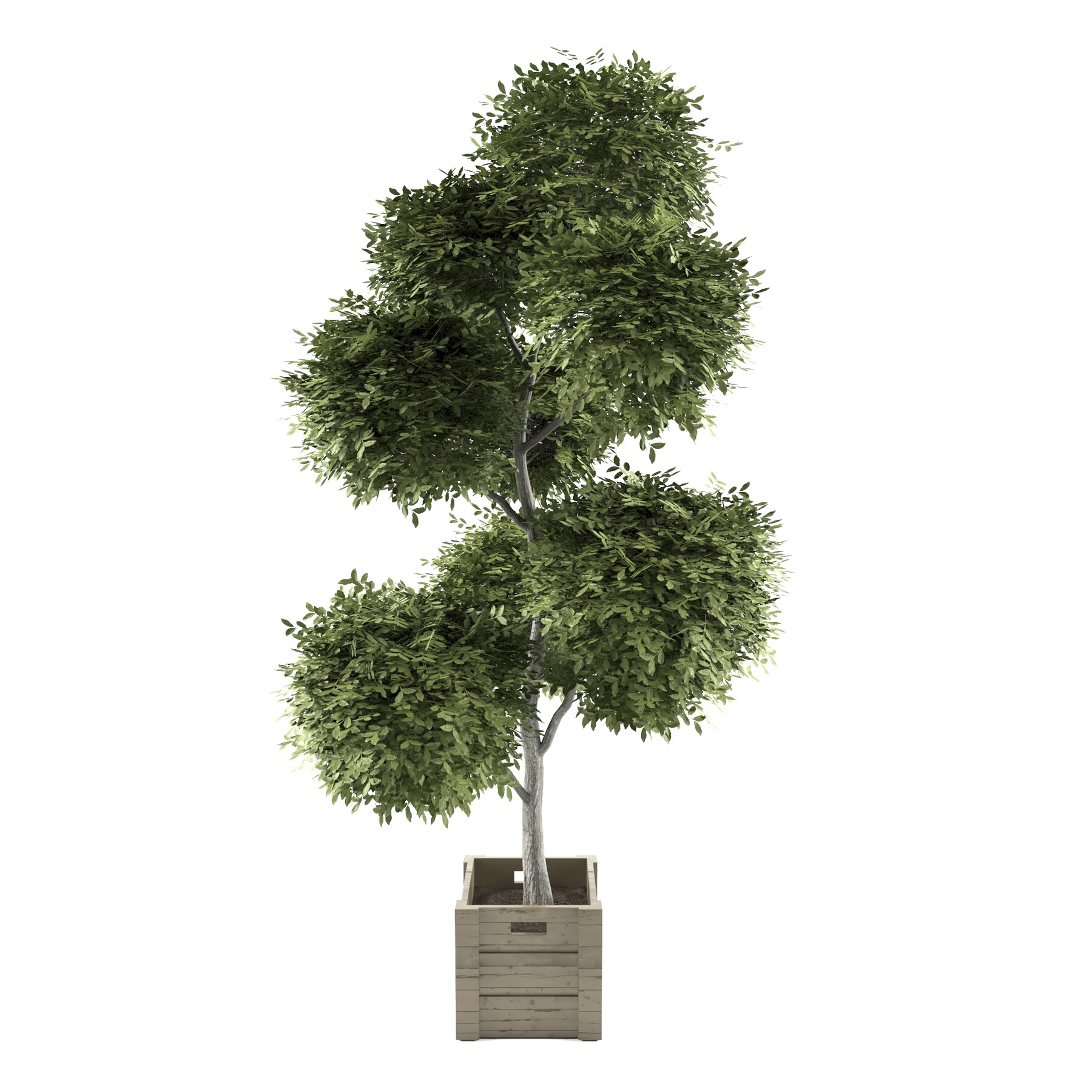 ArtStation - Boxwood set 01 | Resources