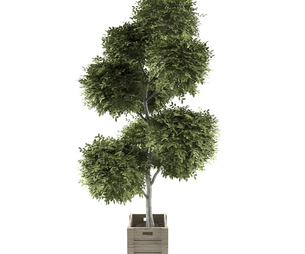 ArtStation - Boxwood set 01 | Resources