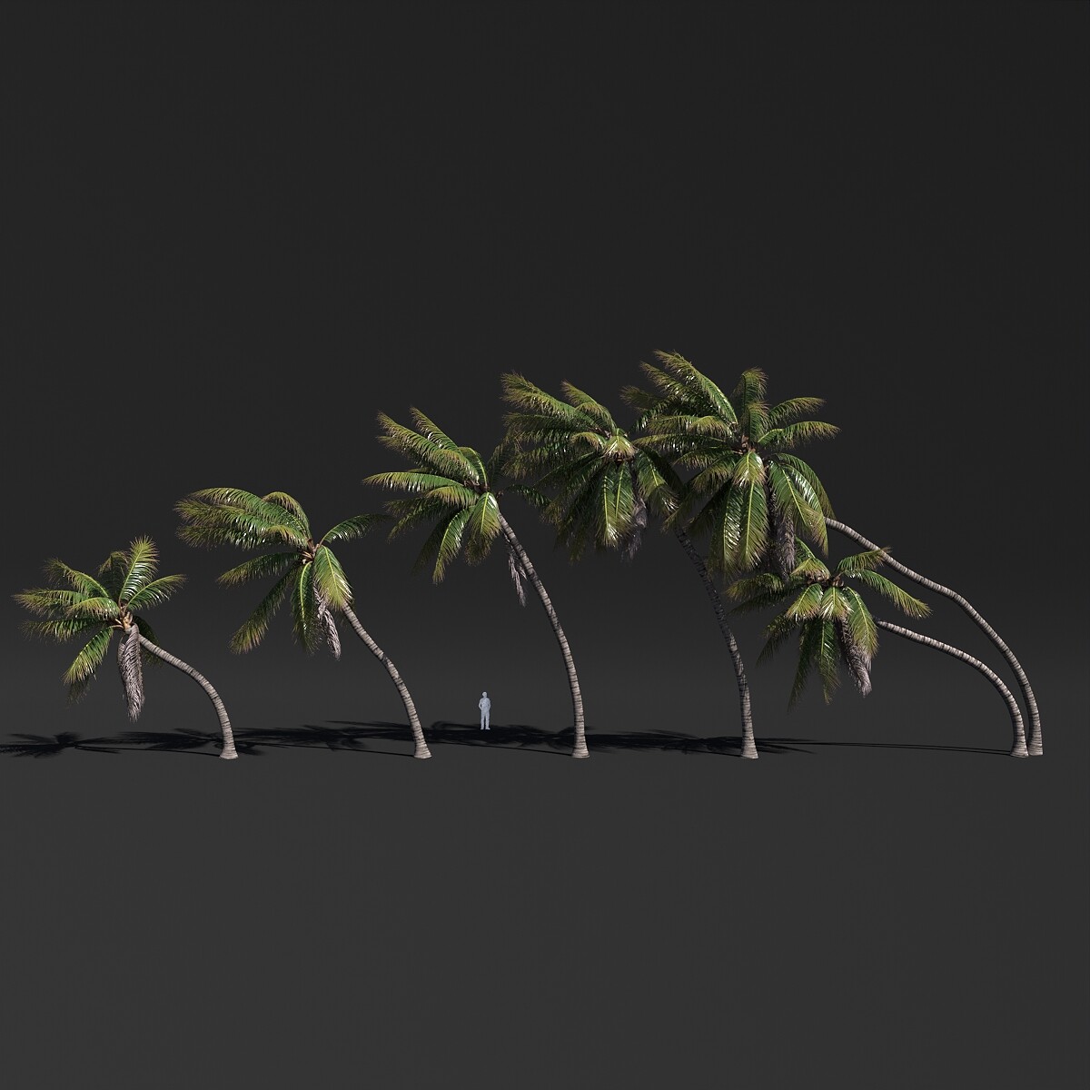 ArtStation - COCONUT TREE VOLUME PACK 02 | Resources