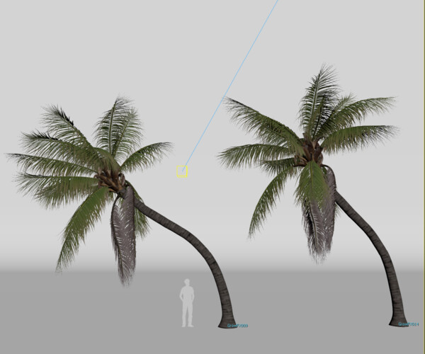 ArtStation - COCONUT TREE VOLUME PACK 02 | Resources
