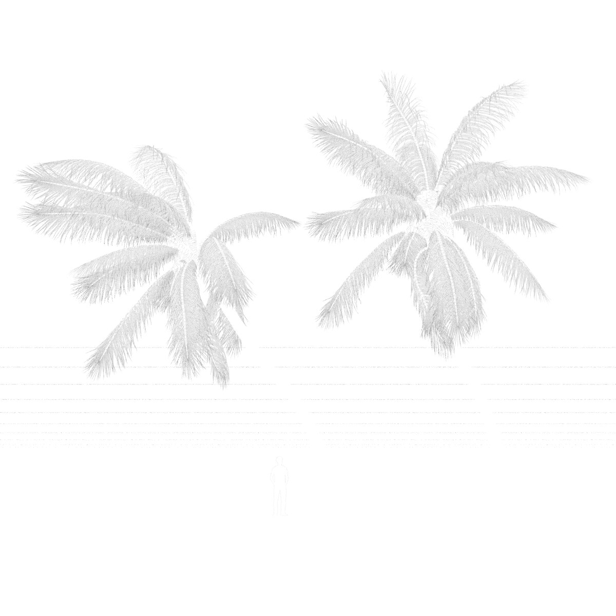 ArtStation - COCONUT TREE VOLUME PACK 02 | Resources