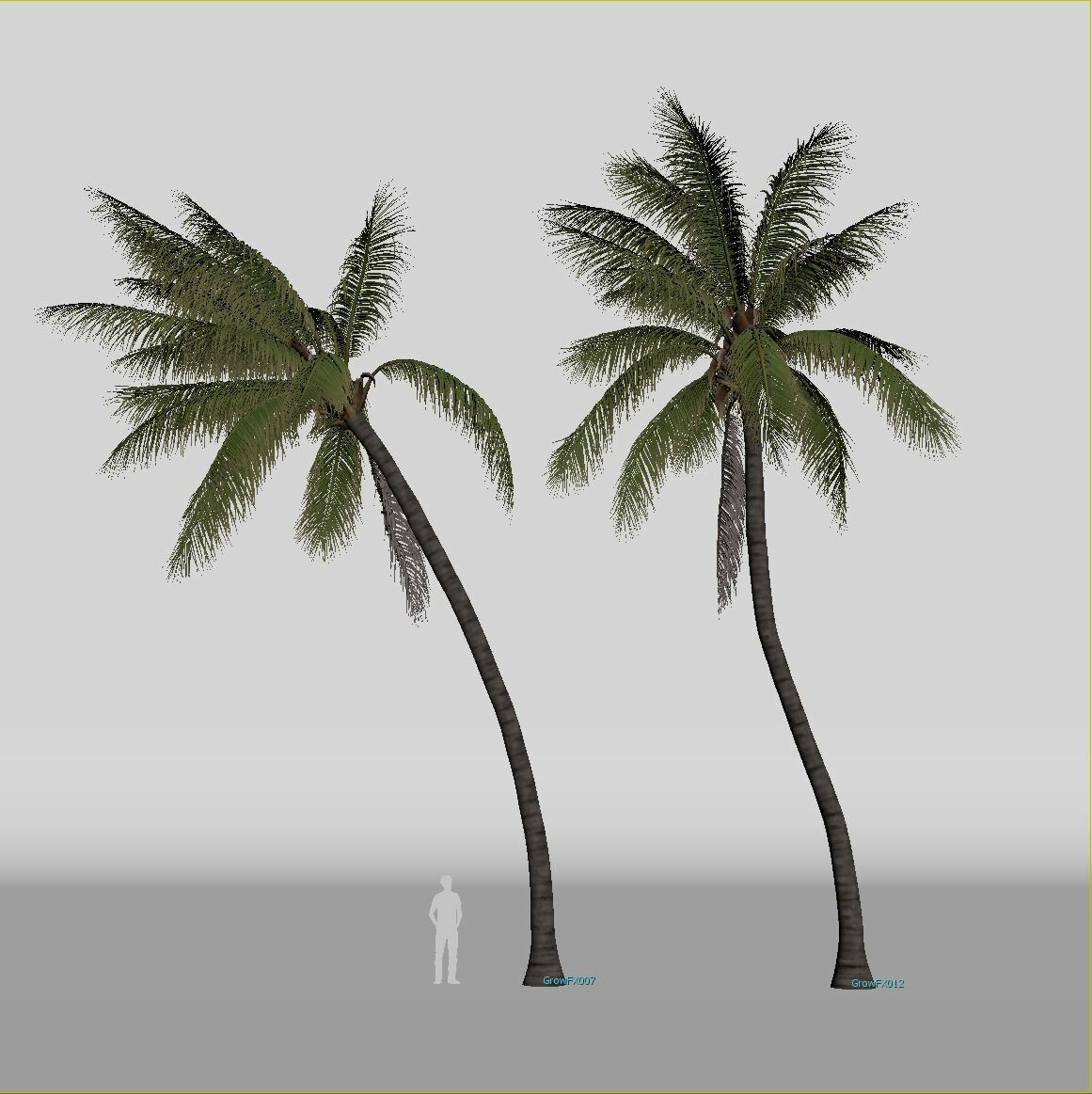 ArtStation - COCONUT TREE VOLUME PACK 02 | Resources