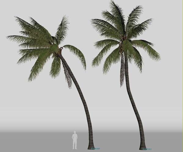 ArtStation - COCONUT TREE VOLUME PACK 02 | Resources