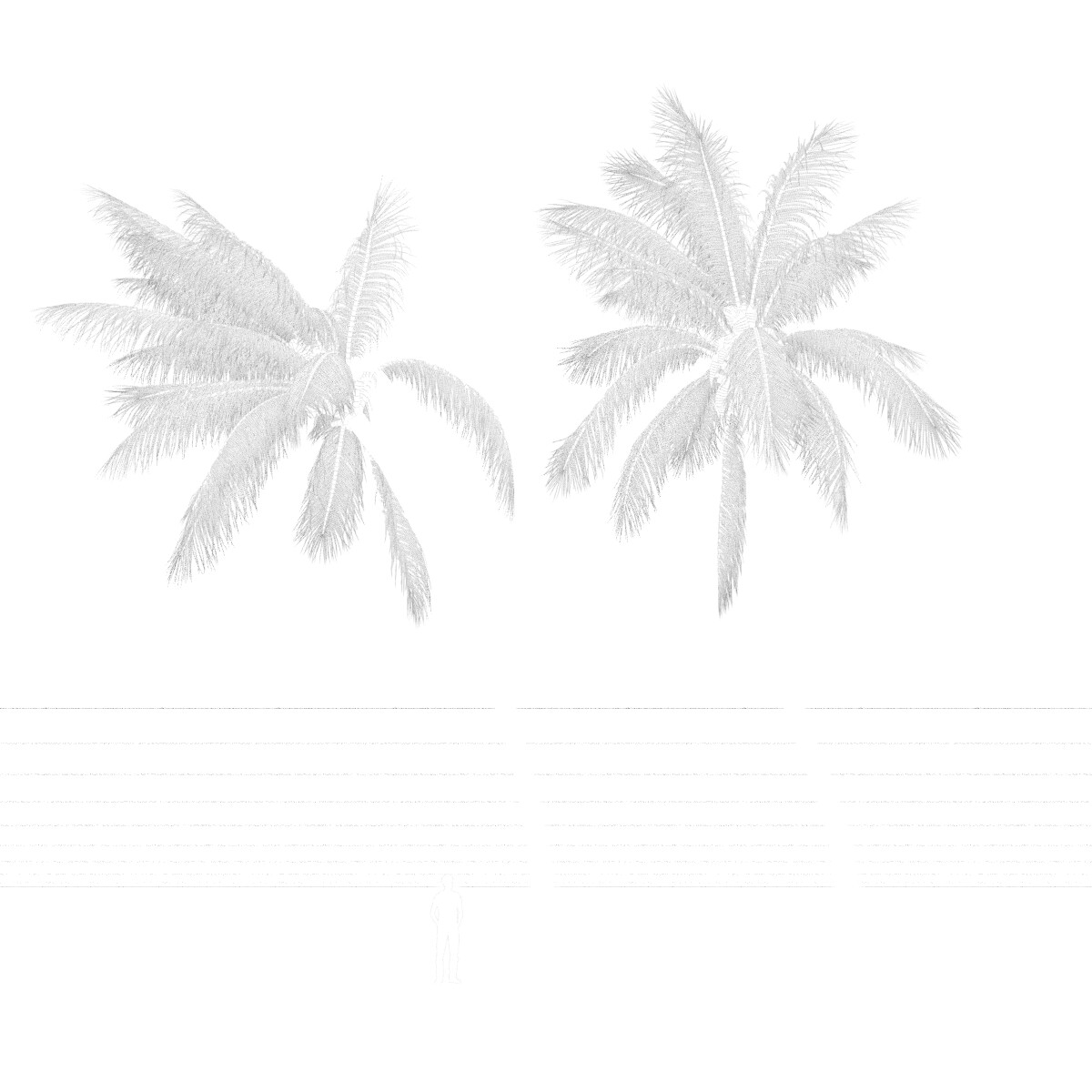 ArtStation - COCONUT TREE VOLUME PACK 02 | Resources