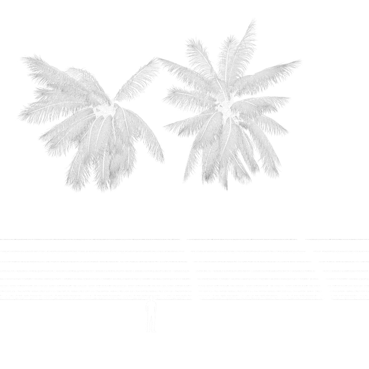 ArtStation - COCONUT TREE VOLUME PACK 02 | Resources