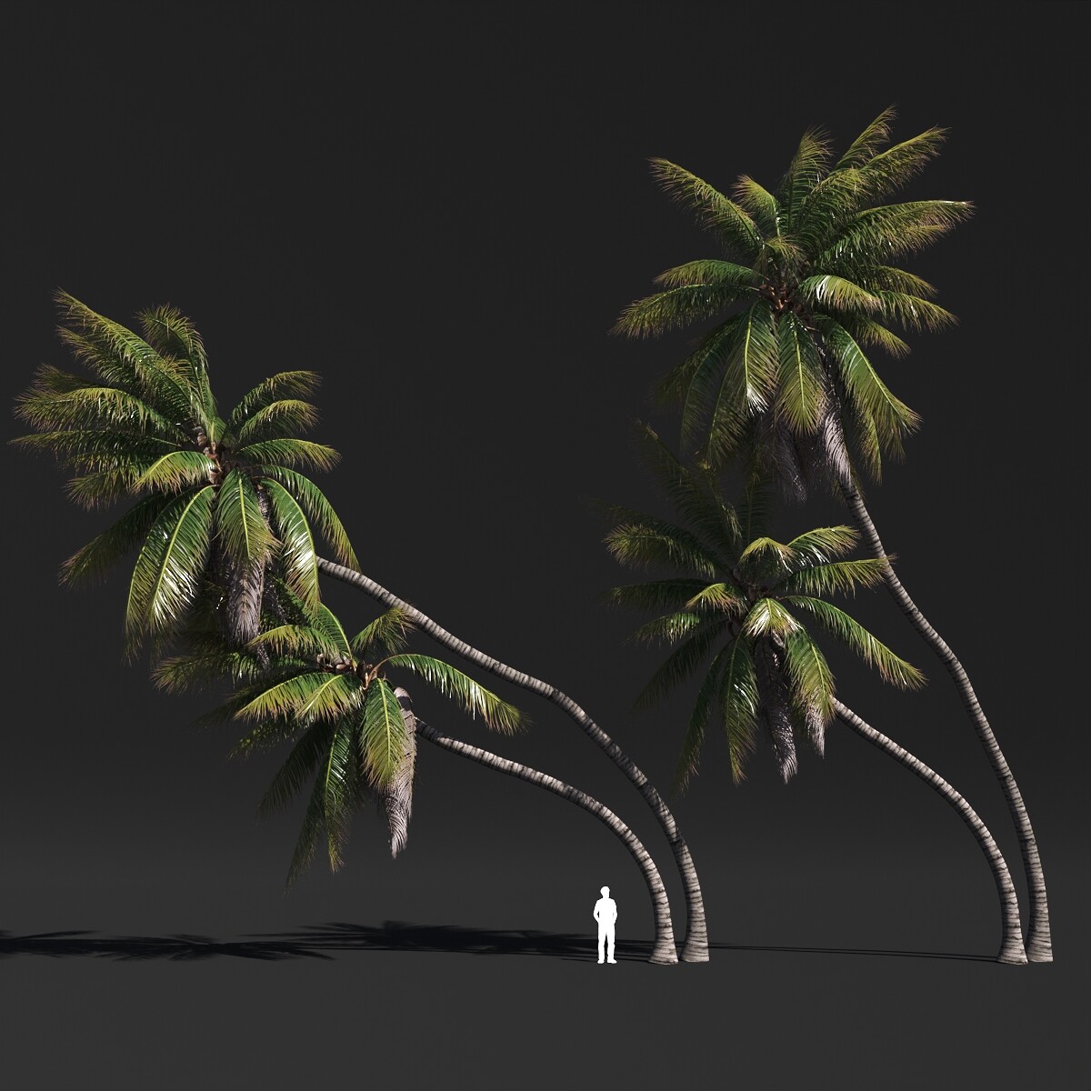 ArtStation - COCONUT TREE VOLUME PACK 02 | Resources