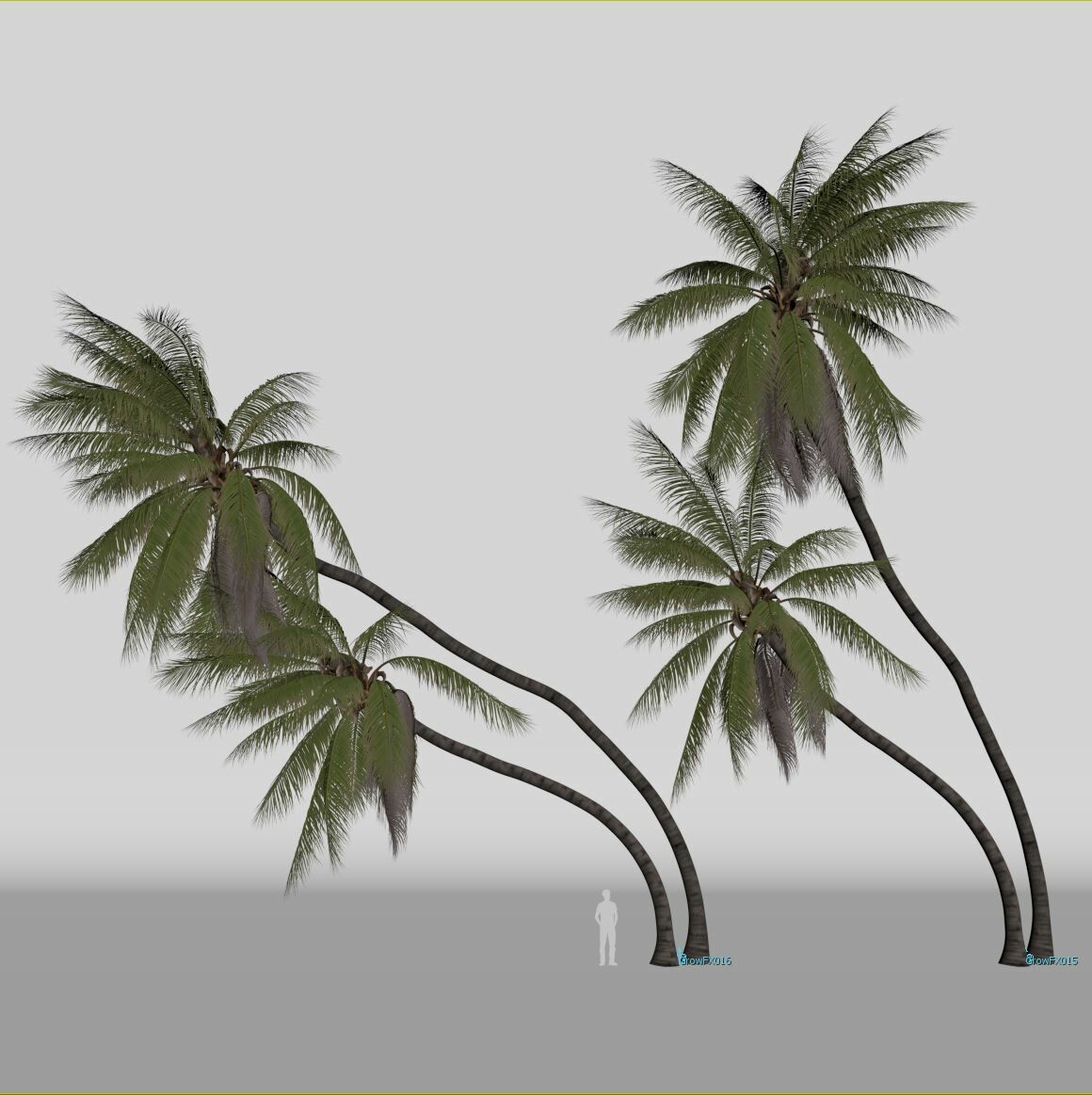 ArtStation - COCONUT TREE VOLUME PACK 02 | Resources