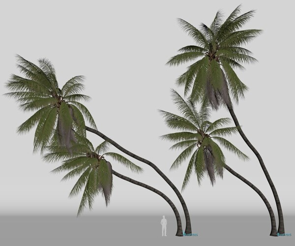 ArtStation - COCONUT TREE VOLUME PACK 02 | Resources
