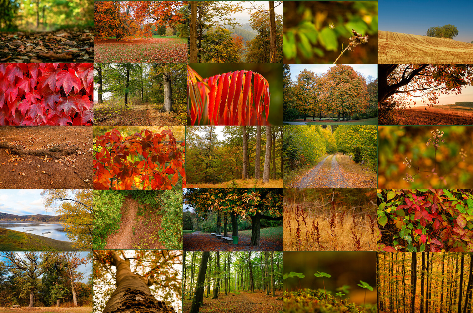 ArtStation - AUTUMN MOOD - Mattepainting / Reference / Photobash Pack ...