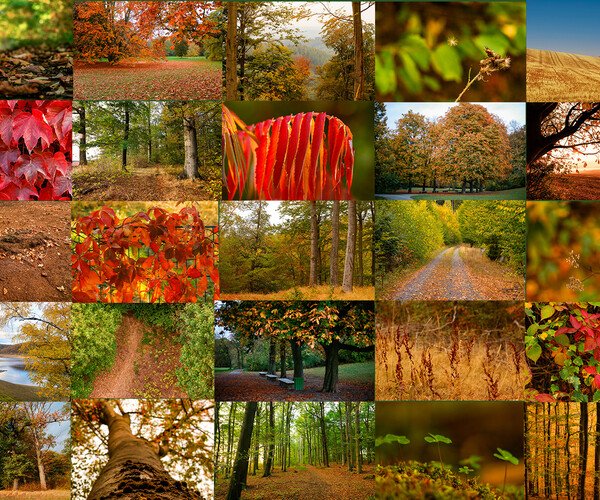 ArtStation - AUTUMN MOOD - Mattepainting / Reference / Photobash Pack ...