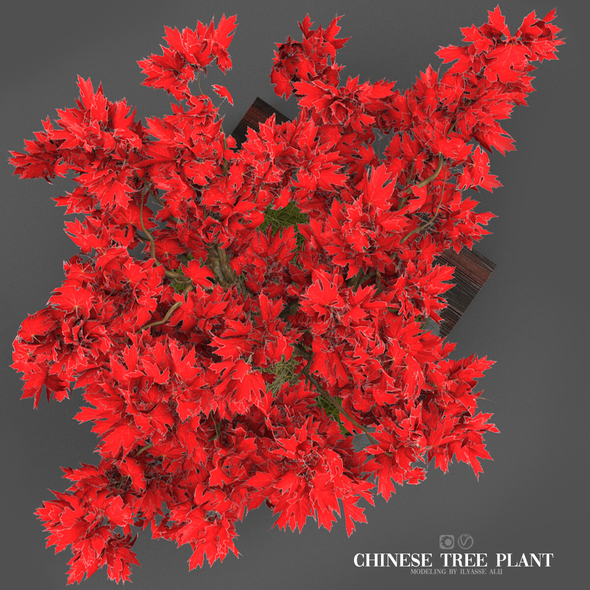 ArtStation - chinese tree plant | Resources