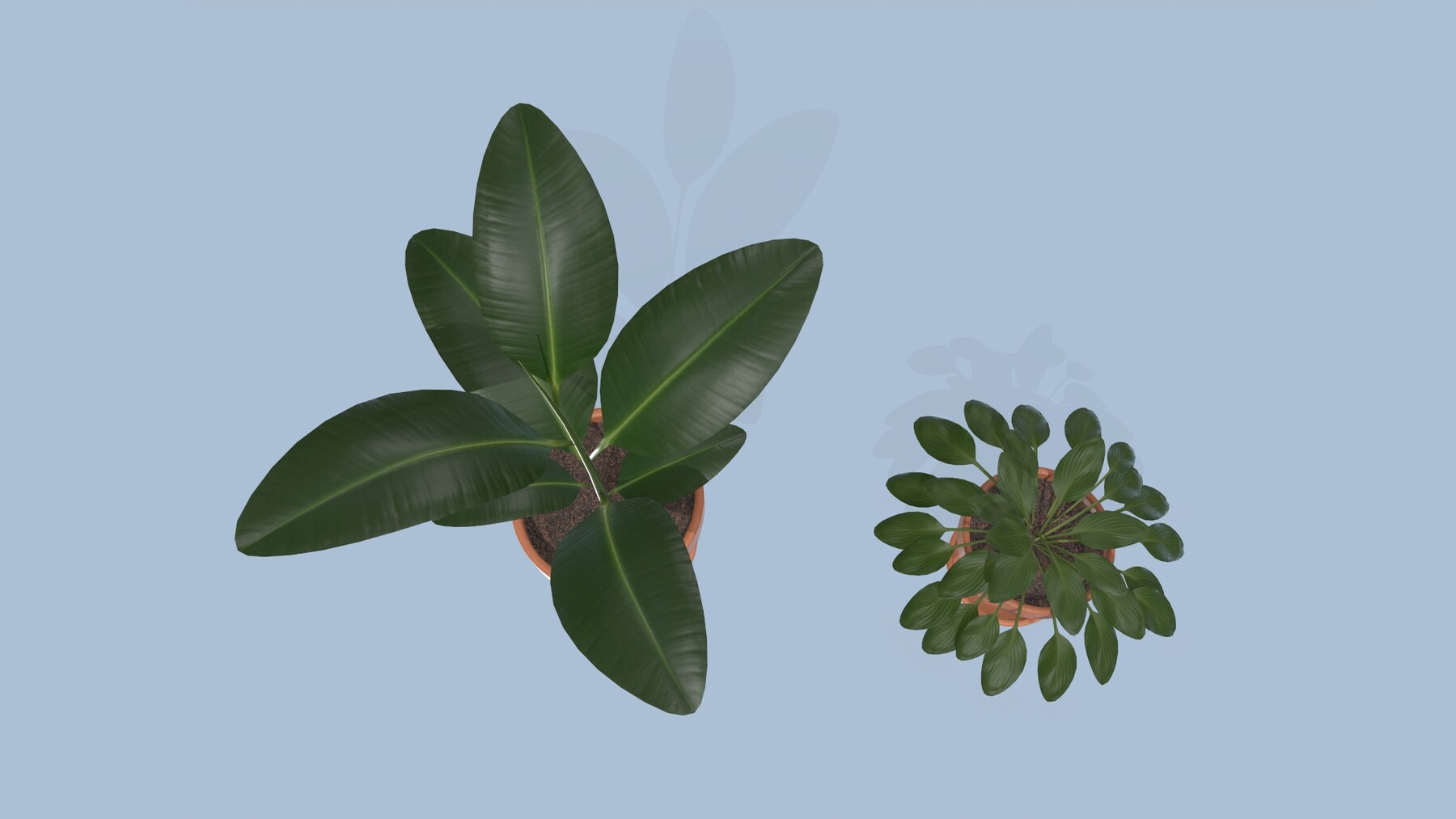 ArtStation - Plants | Game Assets