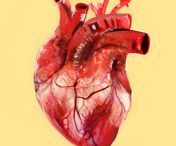 ArtStation - Heart Realistic Artwork | Artworks
