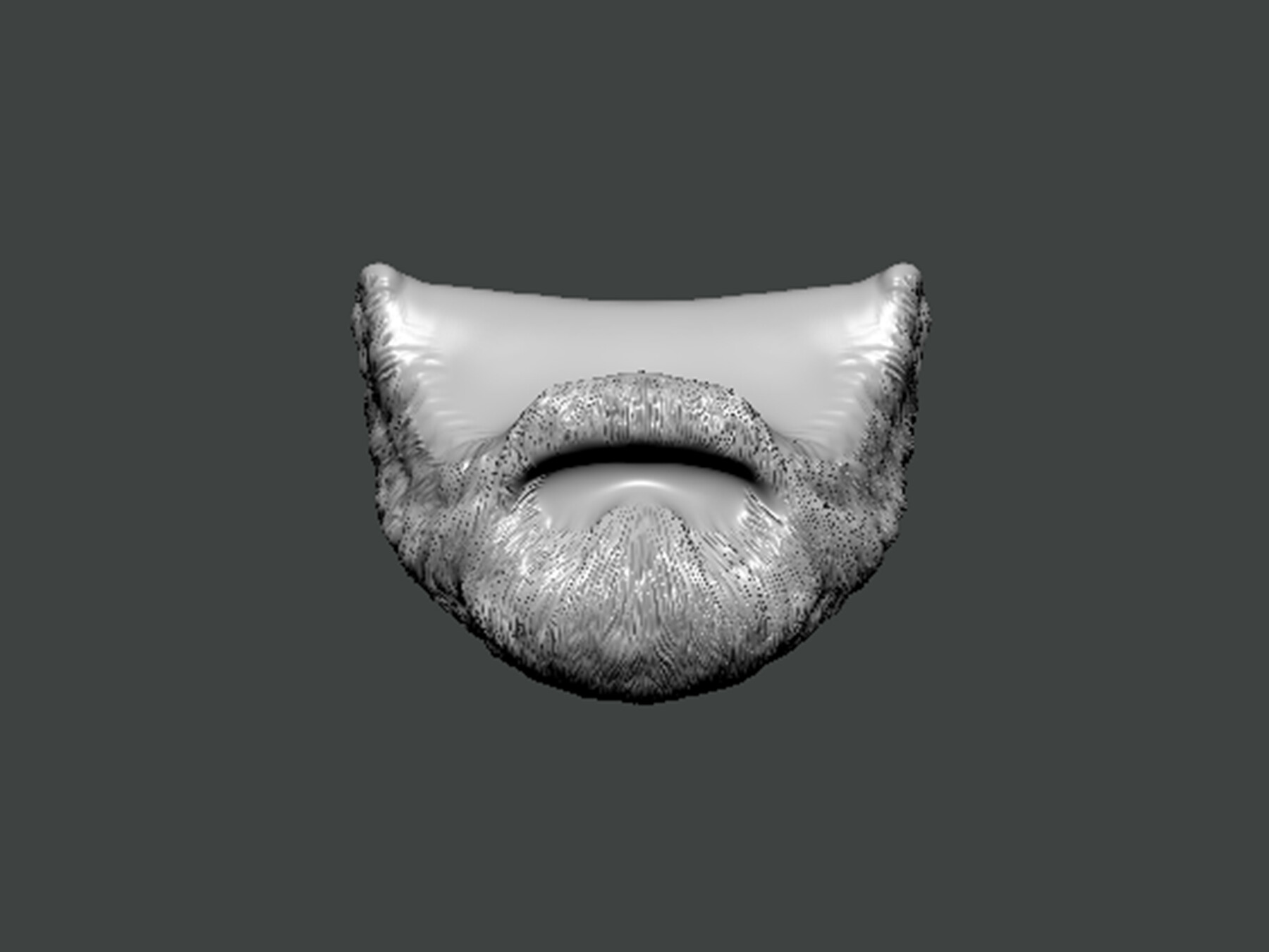 ArtStation - 3D Model-BEARD0001 | Resources