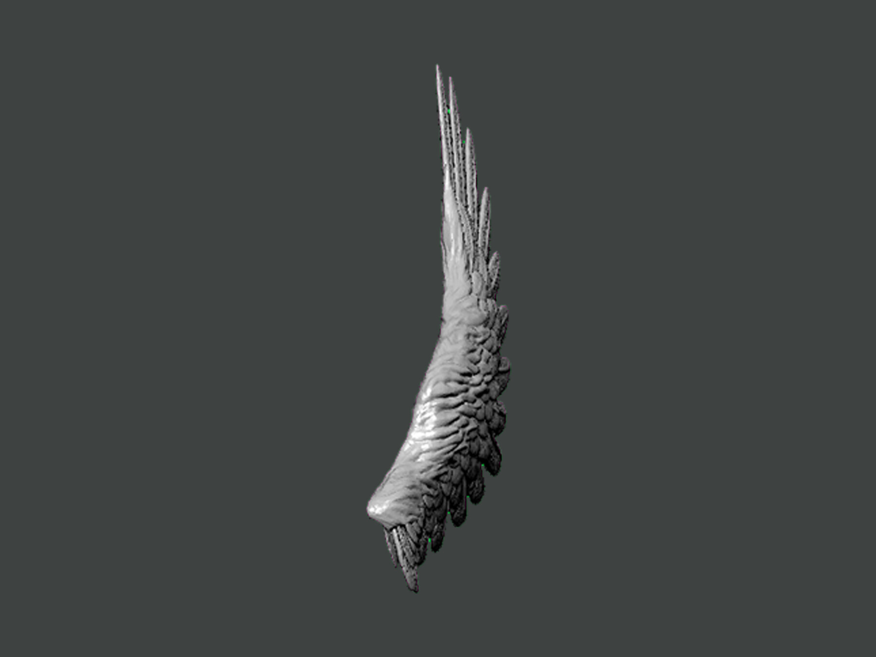 ArtStation - 3D Model-WING0006 | Resources