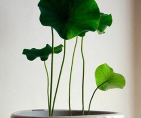 ArtStation - lotus | Resources