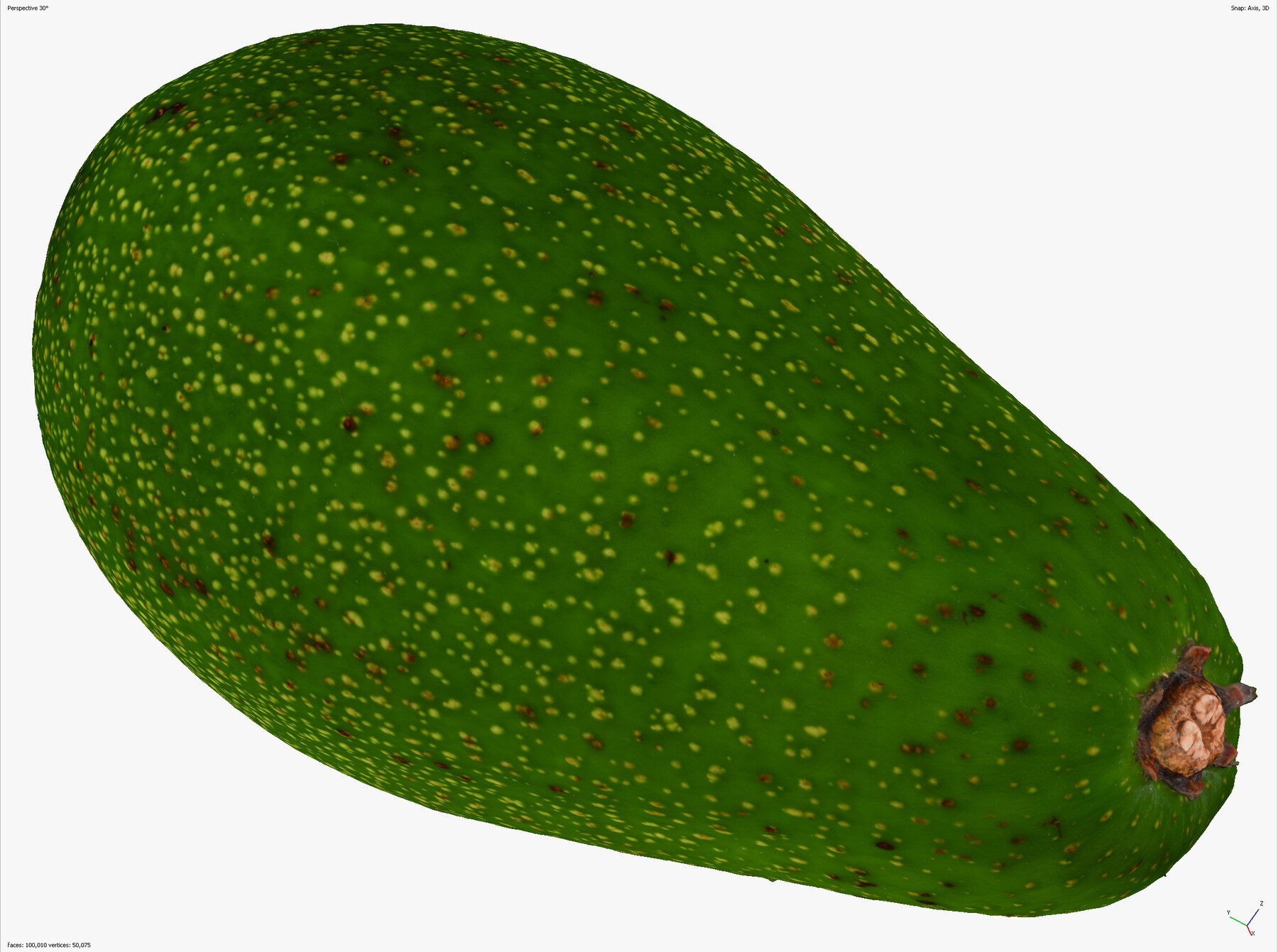 ArtStation - AVOCADO FRUIT - LOW POLY \ HIGH POLY 3D MODEL - CROSS ...