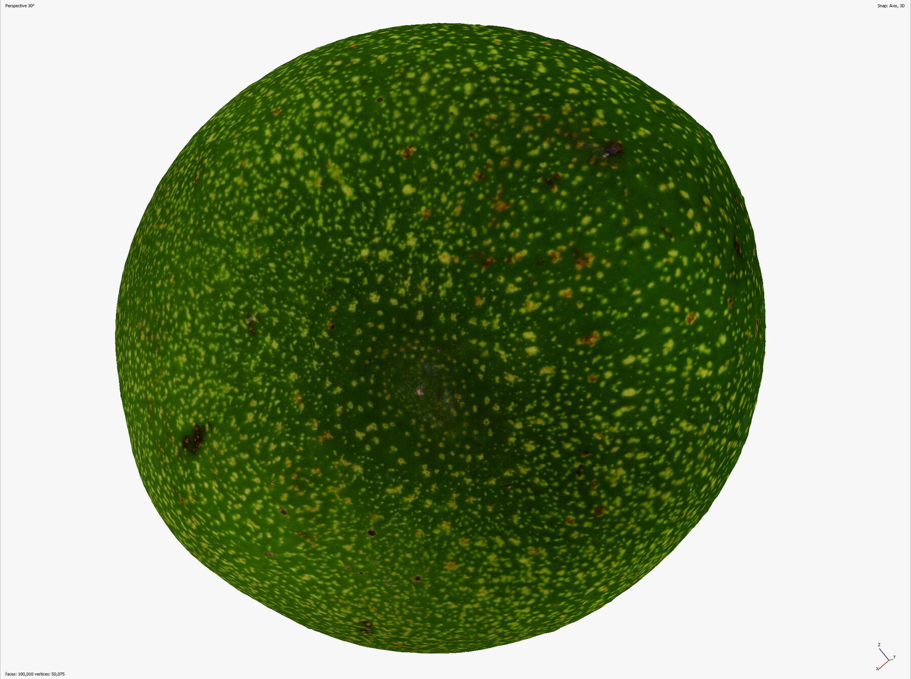 ArtStation - AVOCADO FRUIT - LOW POLY \ HIGH POLY 3D MODEL - CROSS ...