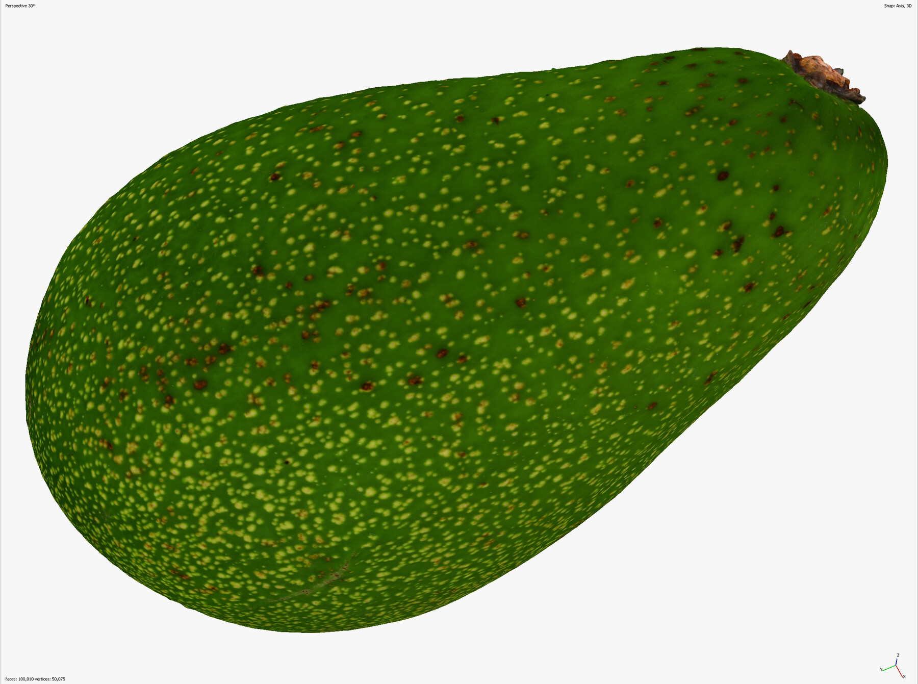 ArtStation - AVOCADO FRUIT - LOW POLY \ HIGH POLY 3D MODEL - CROSS ...