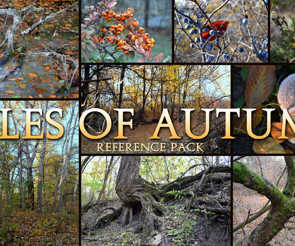 ArtStation - Tales of Autumn | Reference Pack | Resources