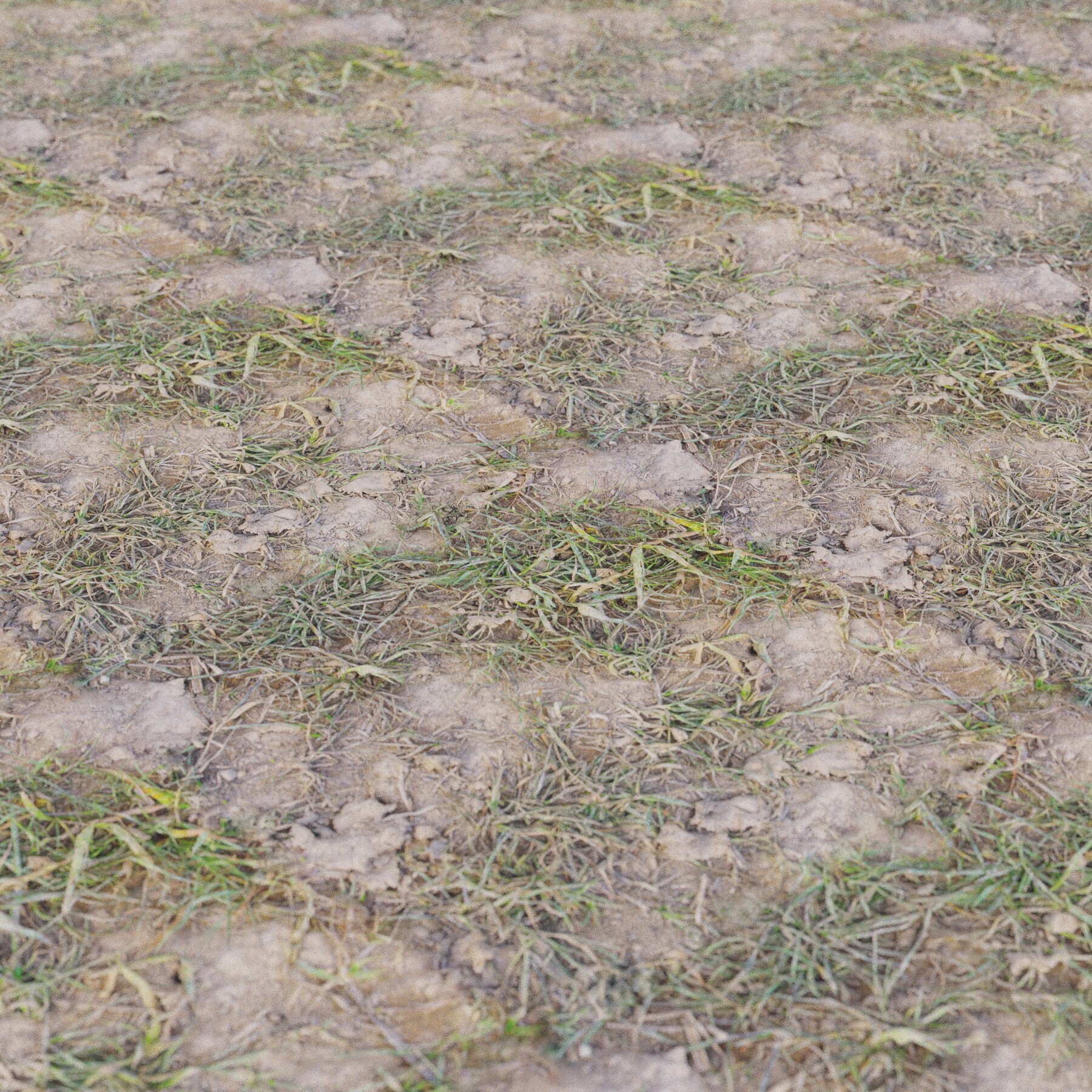 ArtStation - Dirty Grass Materials Pack - 5 PBR Materials | Game Assets