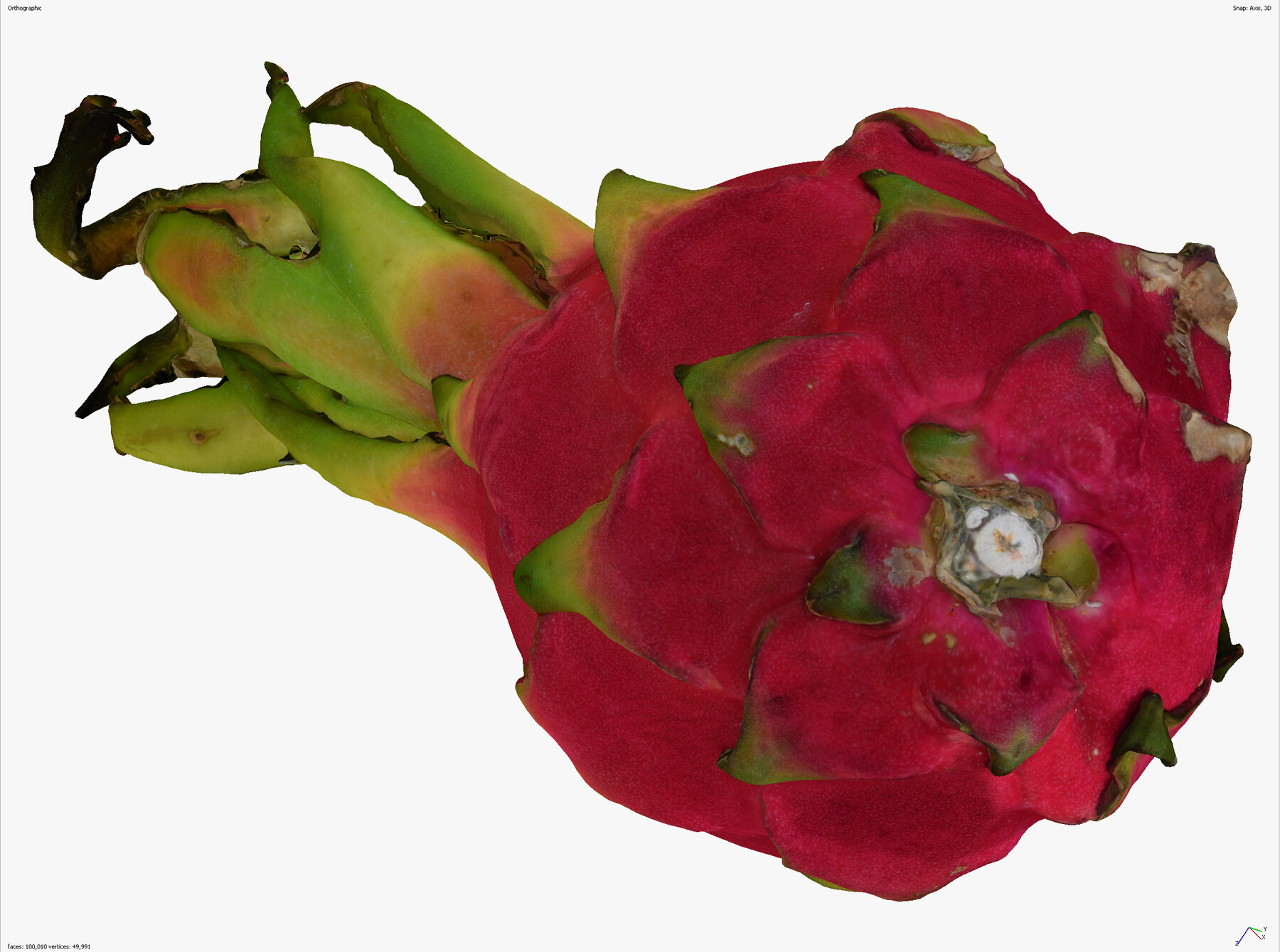 ArtStation - DRAGON FRUIT - LOW POLY \ HIGH POLY 3D MODEL - CROSS ...