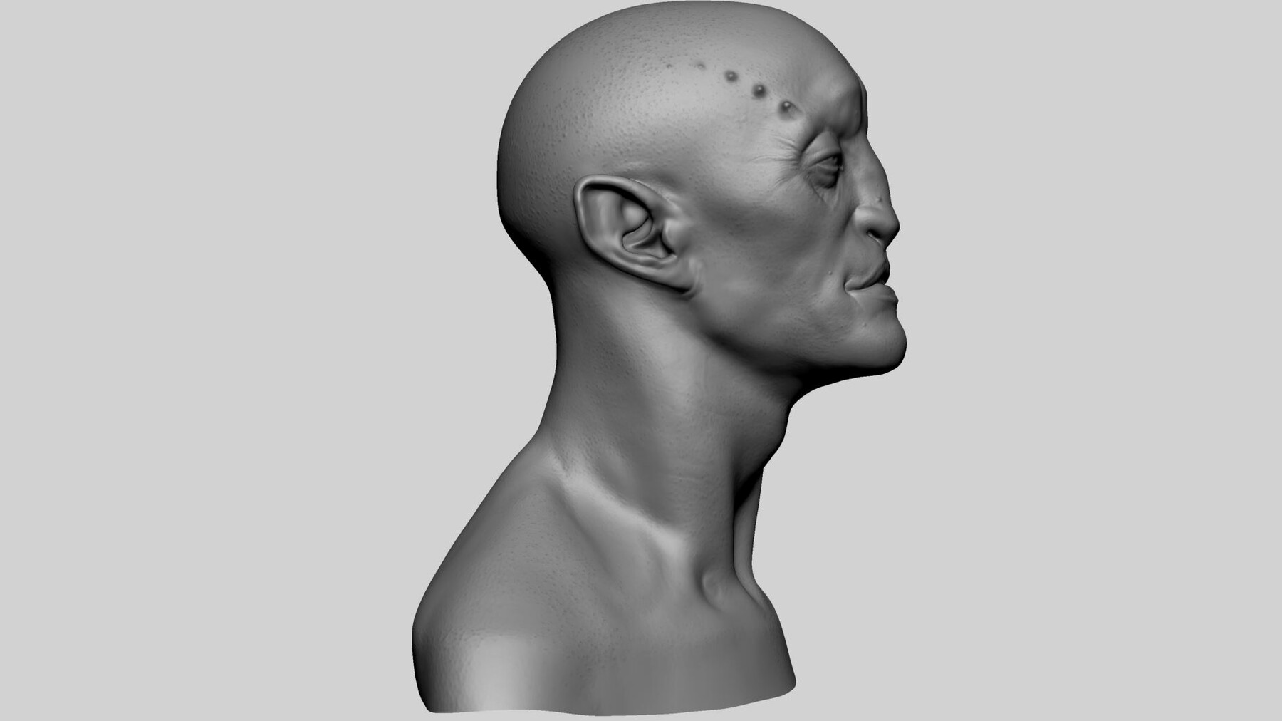 ArtStation - Creature Head 13 | Resources