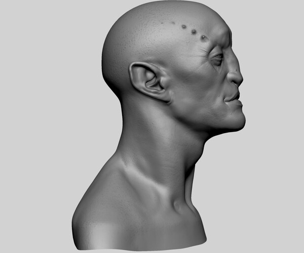 ArtStation - Creature Head 13 | Resources