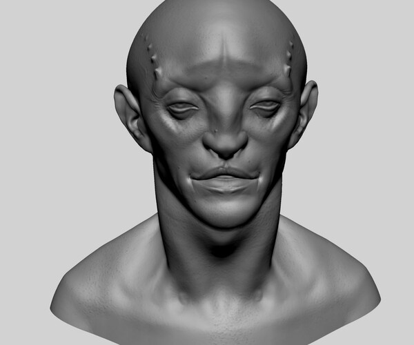 ArtStation - Creature Head 13 | Resources