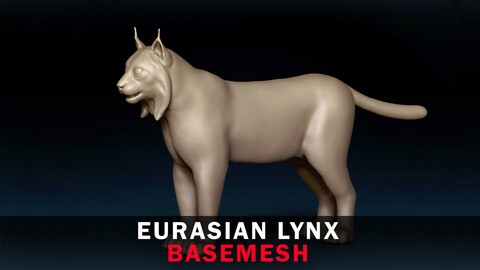 ArtStation - Eurasian Lynx Base Mesh 3D Model | Resources