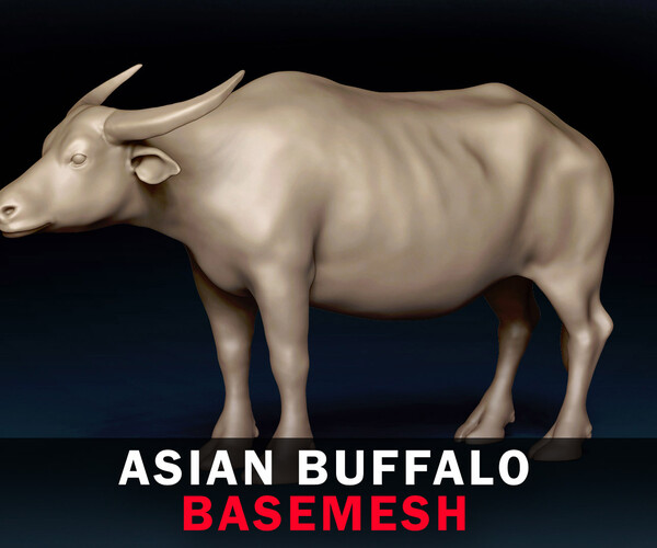 ArtStation - Asian Buffalo Base Mesh 3D Model | Resources