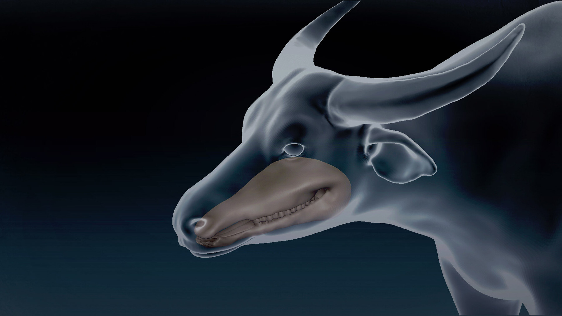 ArtStation - Asian Buffalo Base Mesh 3D Model | Resources