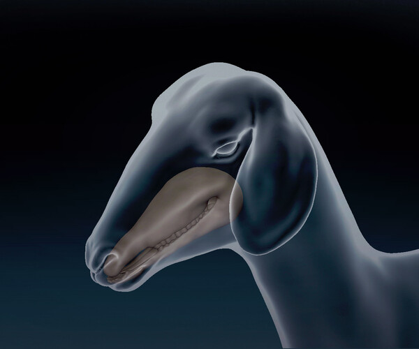 ArtStation - Goat Base Mesh 3D Model | Resources