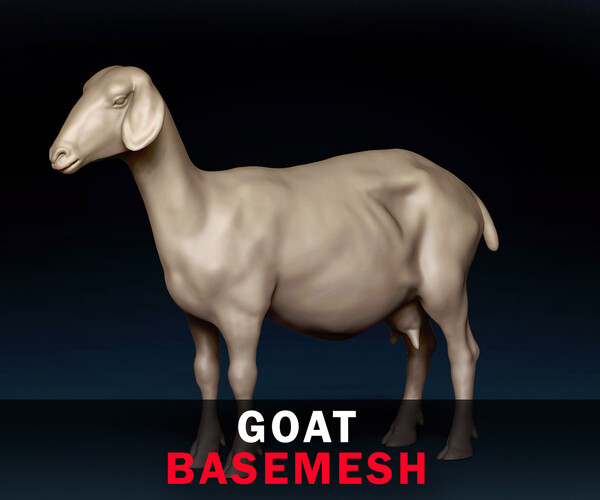 ArtStation - Goat Base Mesh 3D Model | Resources