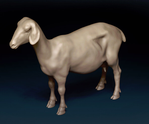 ArtStation - Goat Base Mesh 3D Model | Resources