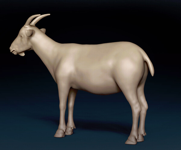 ArtStation - Male Goat Base Mesh 3D Model | Resources