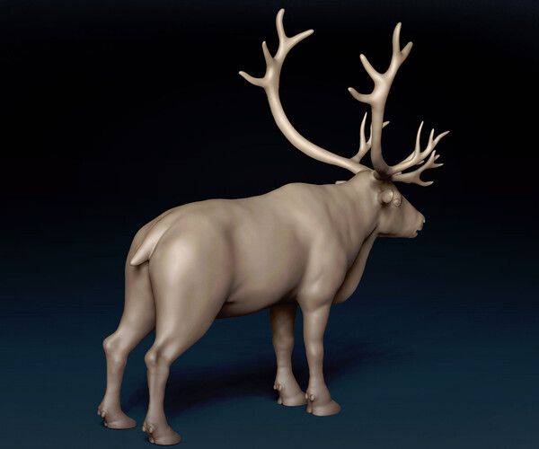 ArtStation - Male ReinDeer Base Mesh 3D Model | Resources