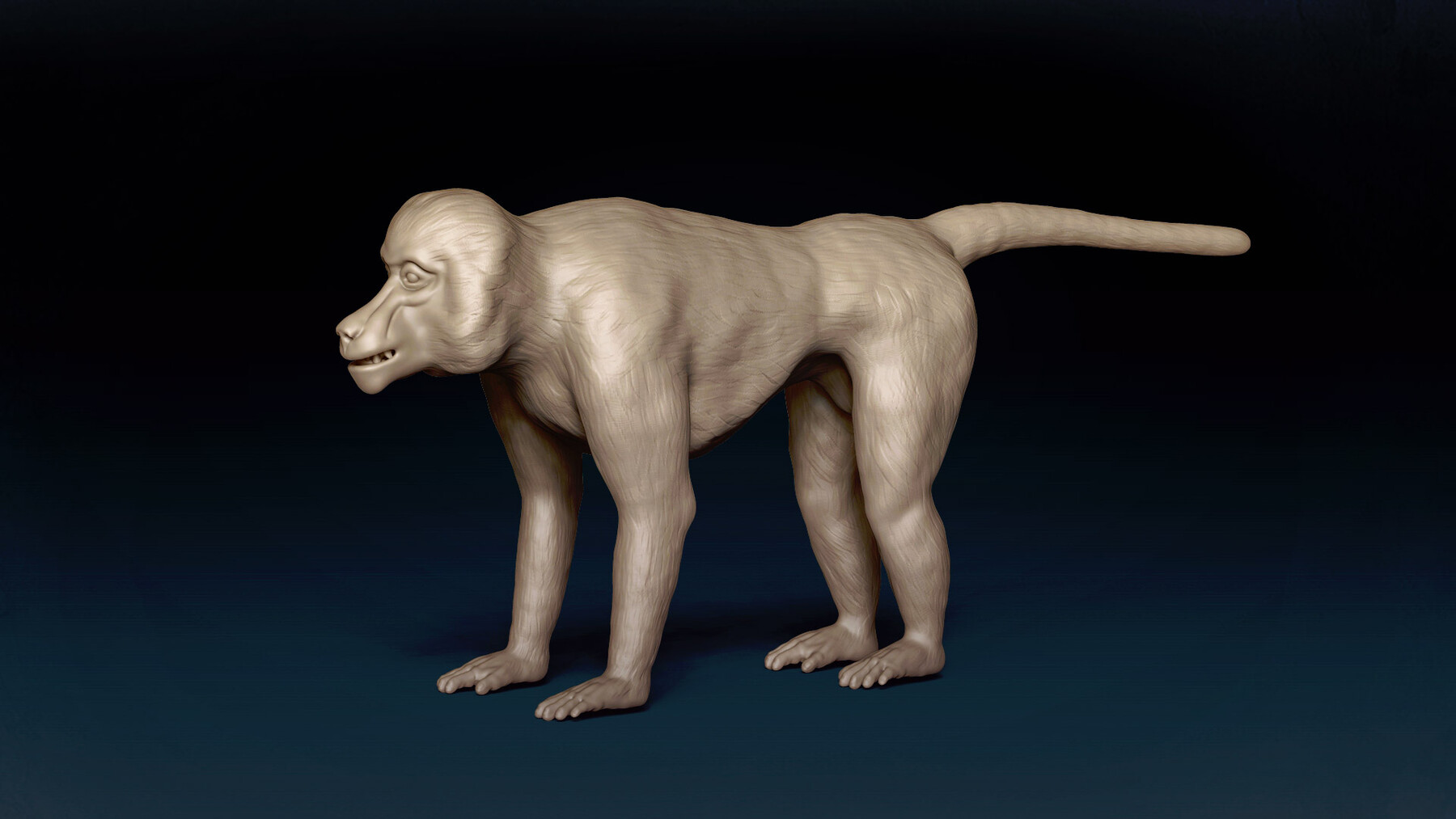 ArtStation - Baboon Base Mesh 3D Model | Resources