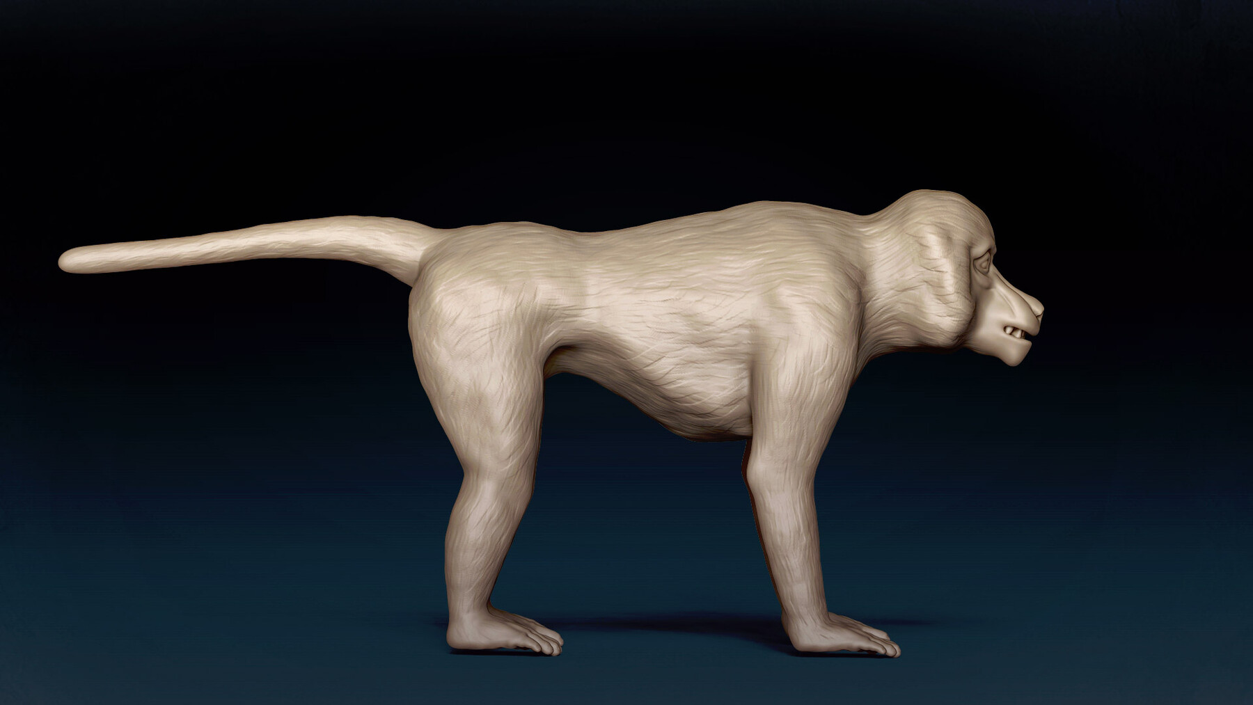 ArtStation - Baboon Base Mesh 3D Model | Resources
