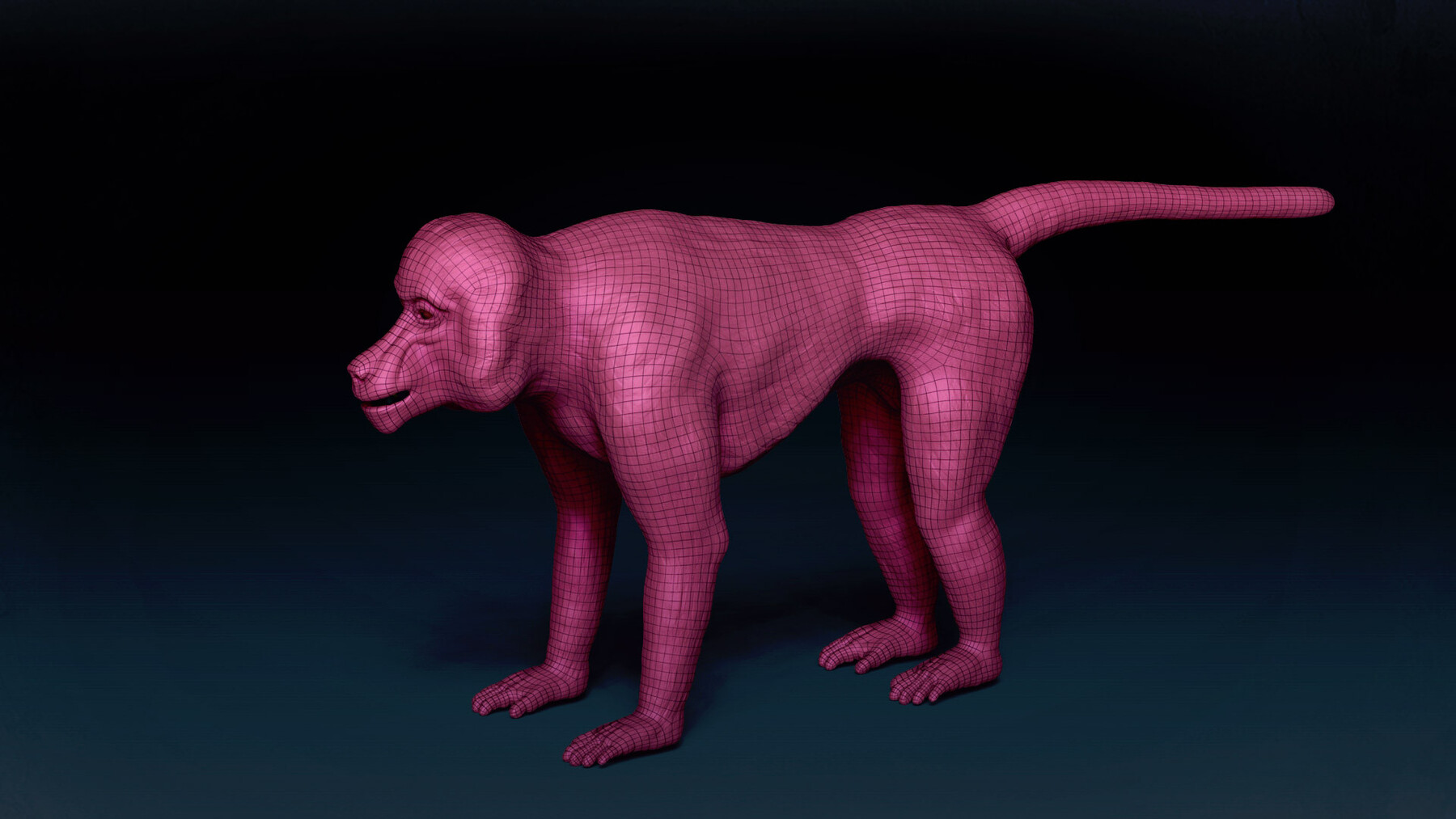 ArtStation - Baboon Base Mesh 3D Model | Resources